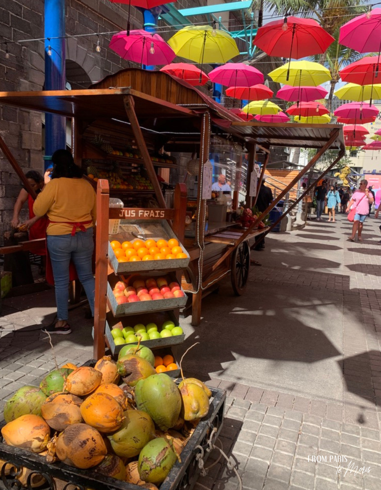 Fruits of Mauritius: A Journey of Tropical Flavors | From Paris to Moris