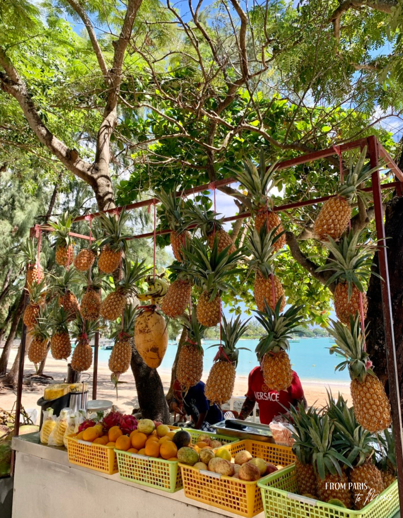 Fruits of Mauritius: A Journey of Tropical Flavors | From Paris to Moris