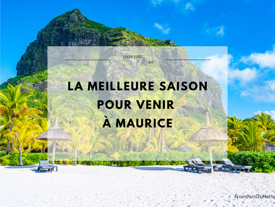 Accueil | From Paris to Moris